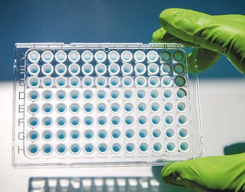 qPCR Reagents | Appleton Scientific